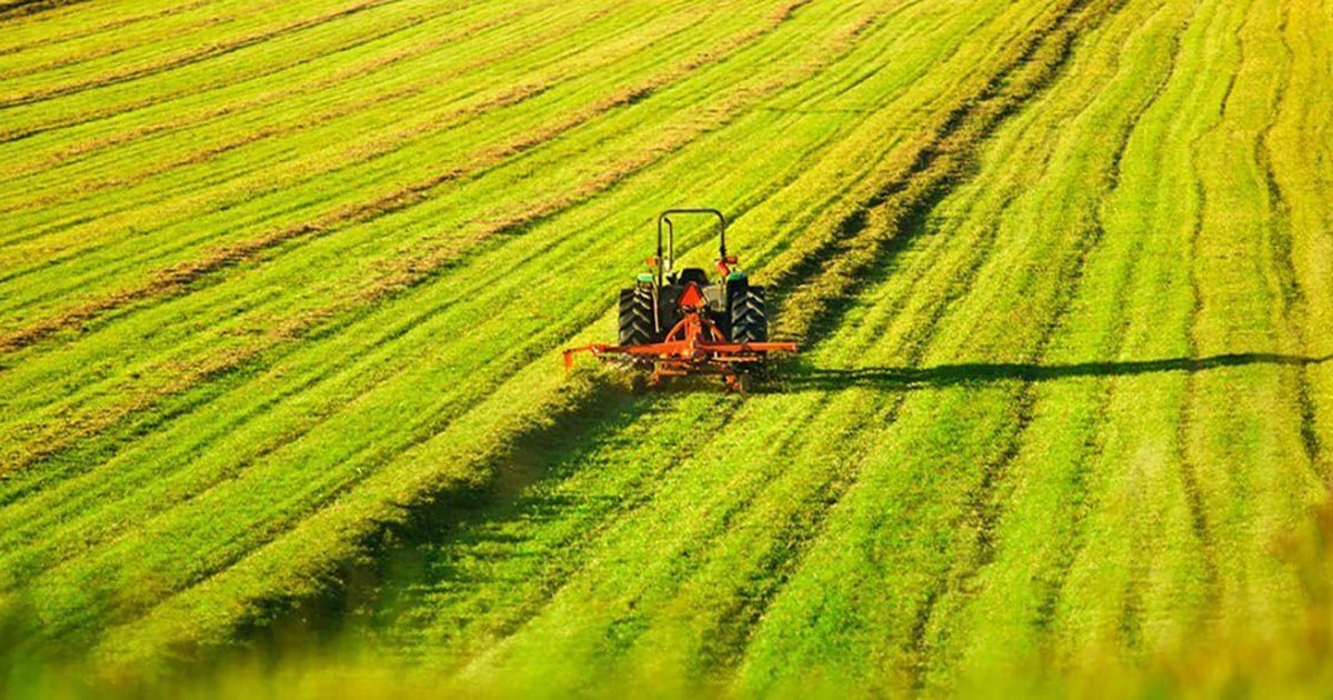 Careers in Agribusiness: Emerging Roles in a Traditional Industry - The Hub